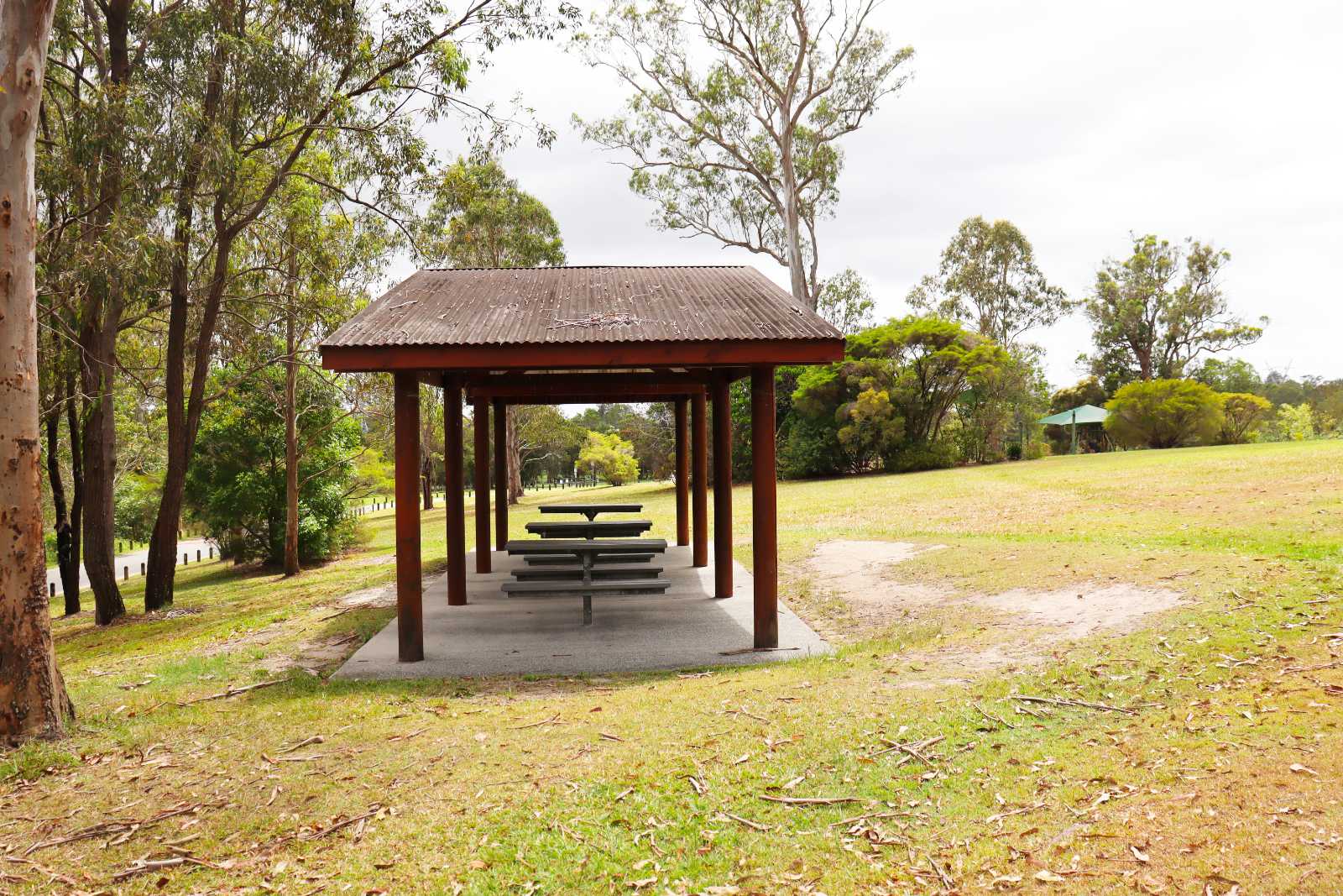 Hinterland Regional Park at Mudgeeraba