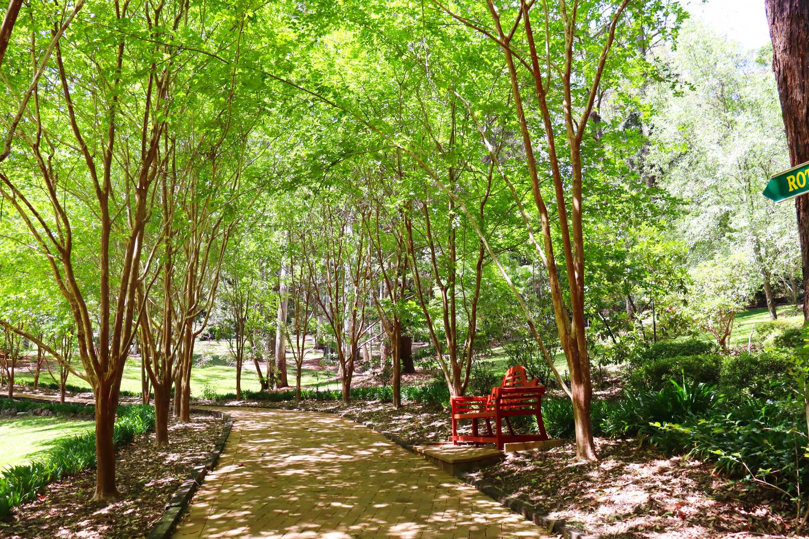 Tamborine Mountain - Ellie's Gold Coast Parks