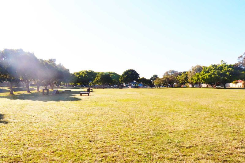 Bayview Park: Open Space and Dog Agility Equipment