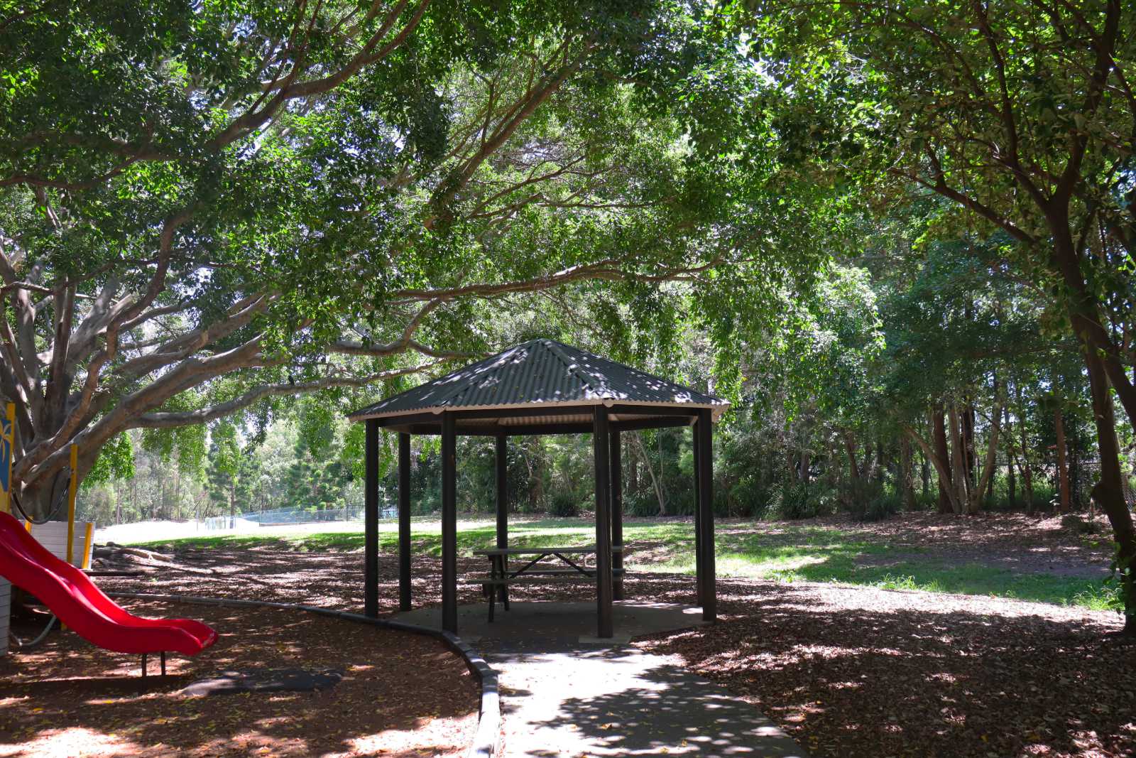Arthur Earle Park: Leafy Beauty in a Skate Park