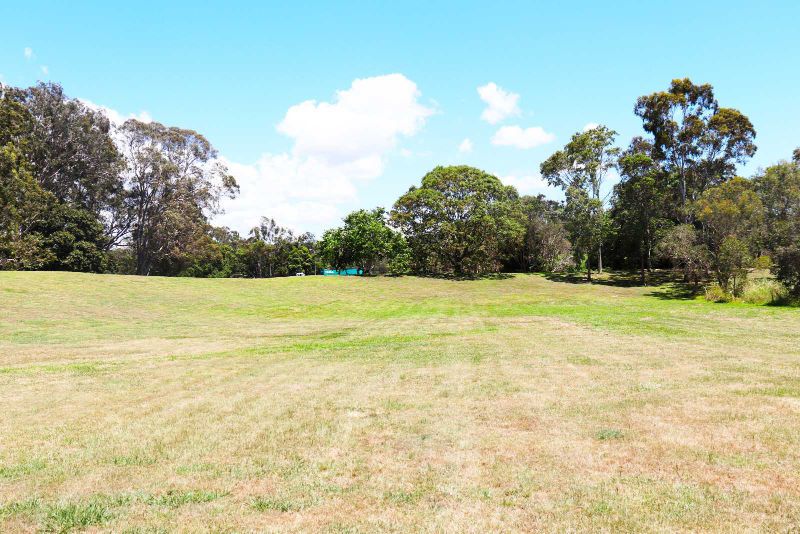 Birchill Park: Let Your Dog Frolic