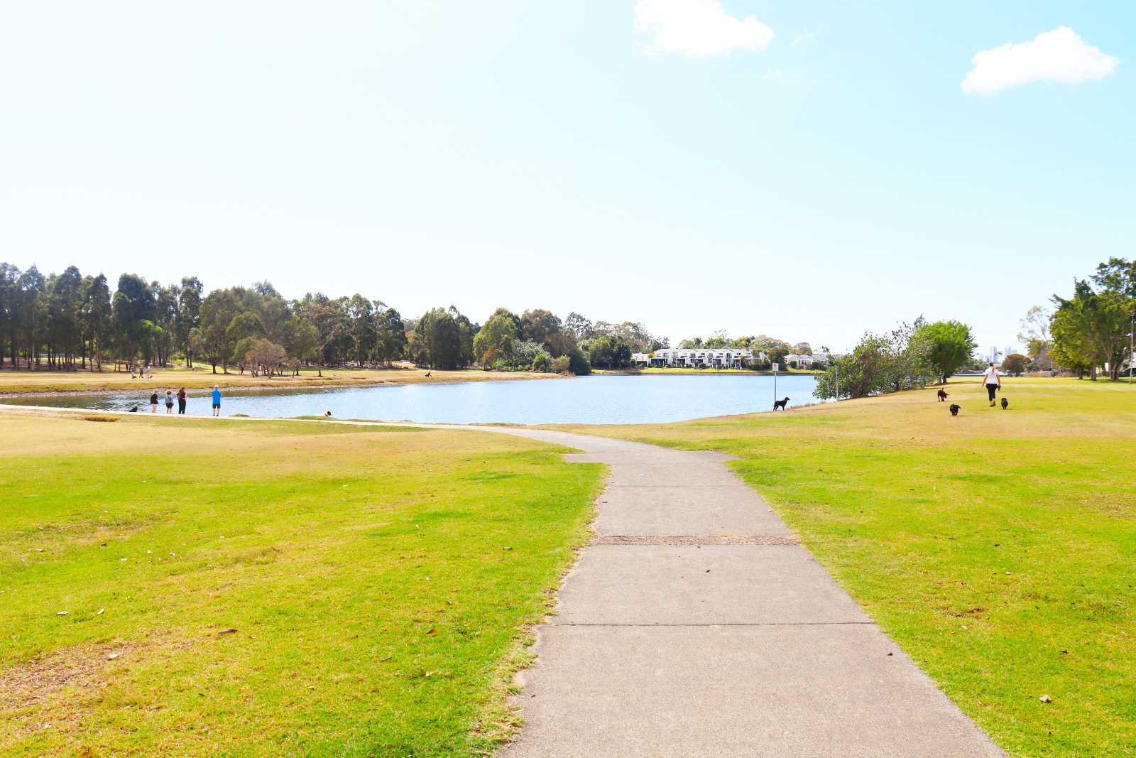 Cabana Off-Leash Dog Area: Run, Swim and Dig Cabana Off-Leash Dog Area: Run, Swim and Dig