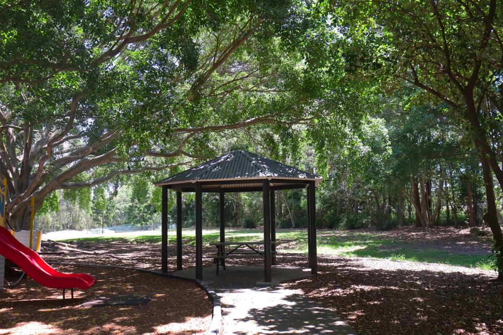Arthur Earle Park: Leafy Beauty in a Skate Park