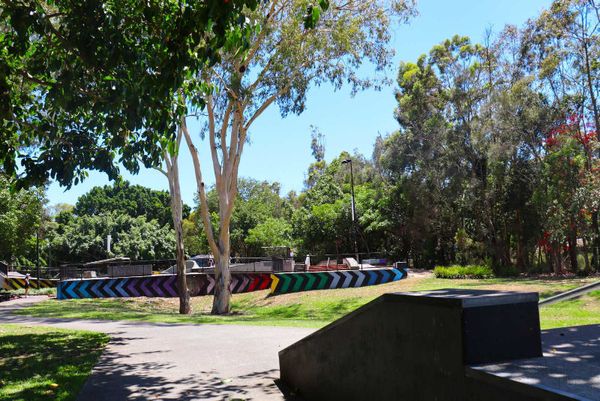Arthur Earle Park: Leafy Beauty in a Skate Park