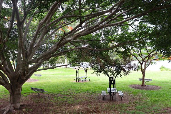 Coomera River Causeway Parklands: A Playground Built for Two