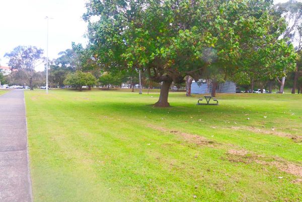 Goodwin Park: A Skate Park Within a Spacious Garden
