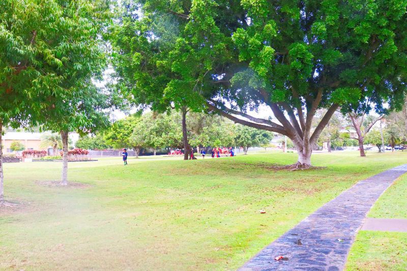 Goodwin Park: A Skate Park Within a Spacious Garden