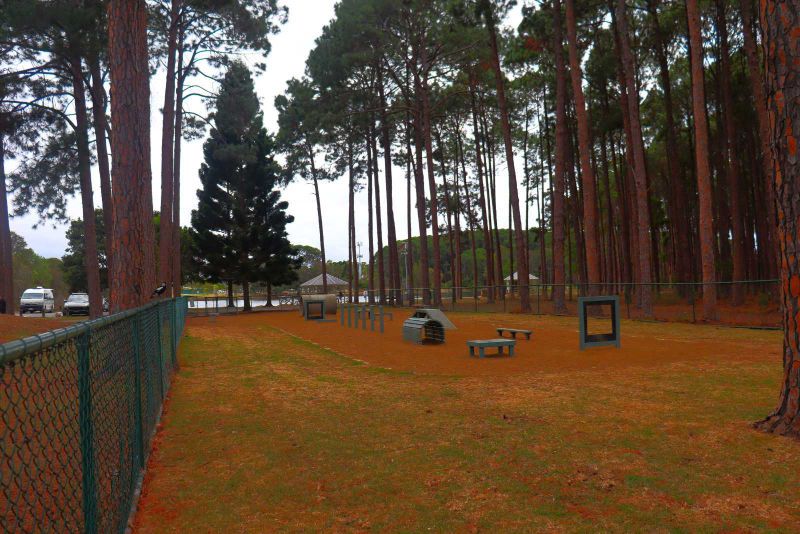 Pizzey Park: A Paradise for Sports Lovers and Skaters