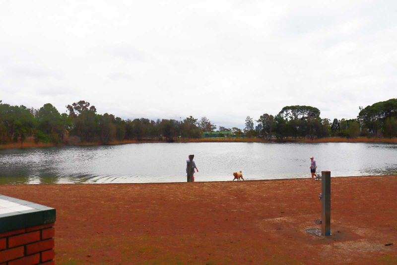 Pizzey Park: A Paradise for Sports Lovers and Skaters