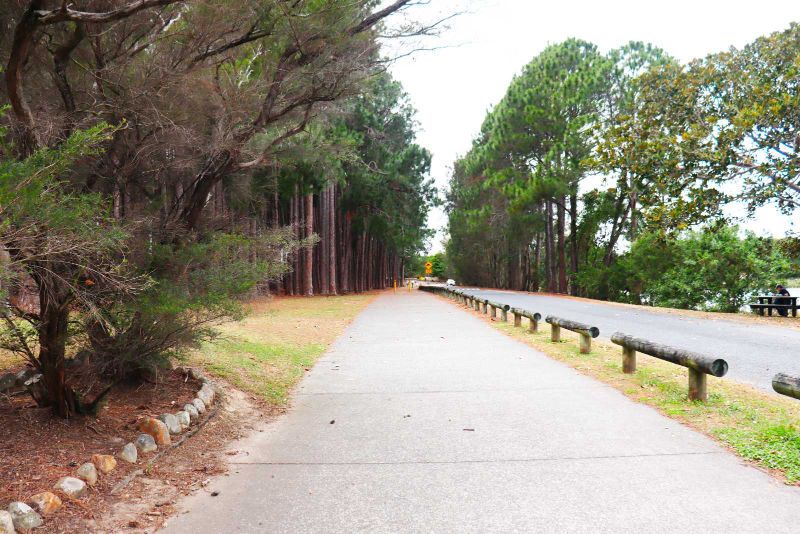 Pizzey Park: A Paradise for Sports Lovers and Skaters