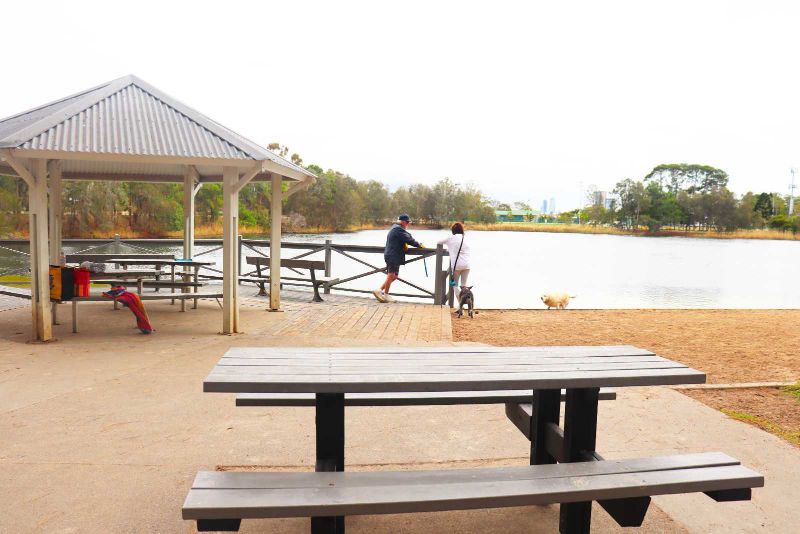 Pizzey Park: A Paradise for Sports Lovers and Skaters