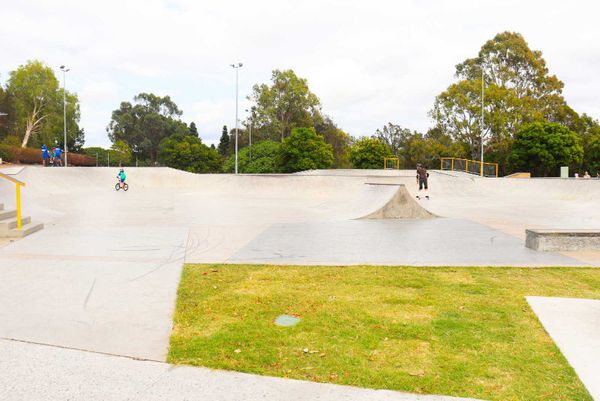 Pizzey Park: A Paradise for Sports Lovers and Skaters