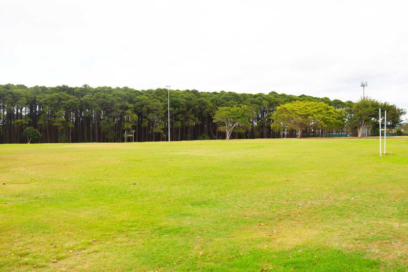 Pizzey Park: A Paradise for Sports Lovers and Skaters