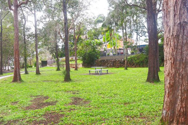 Hampton Park: An Enchanting Leafy Park